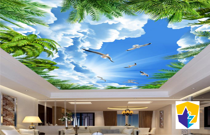 Illusion & Barrisol Interior Pvt. Ltd.